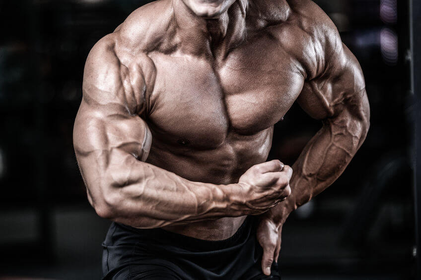 Die 50 Besten Bodybuilding Und Muskelaufbau Tipps Boom style de Die 50 Besten Bodybuilding Und Muskelaufbau Tipps Boom style de